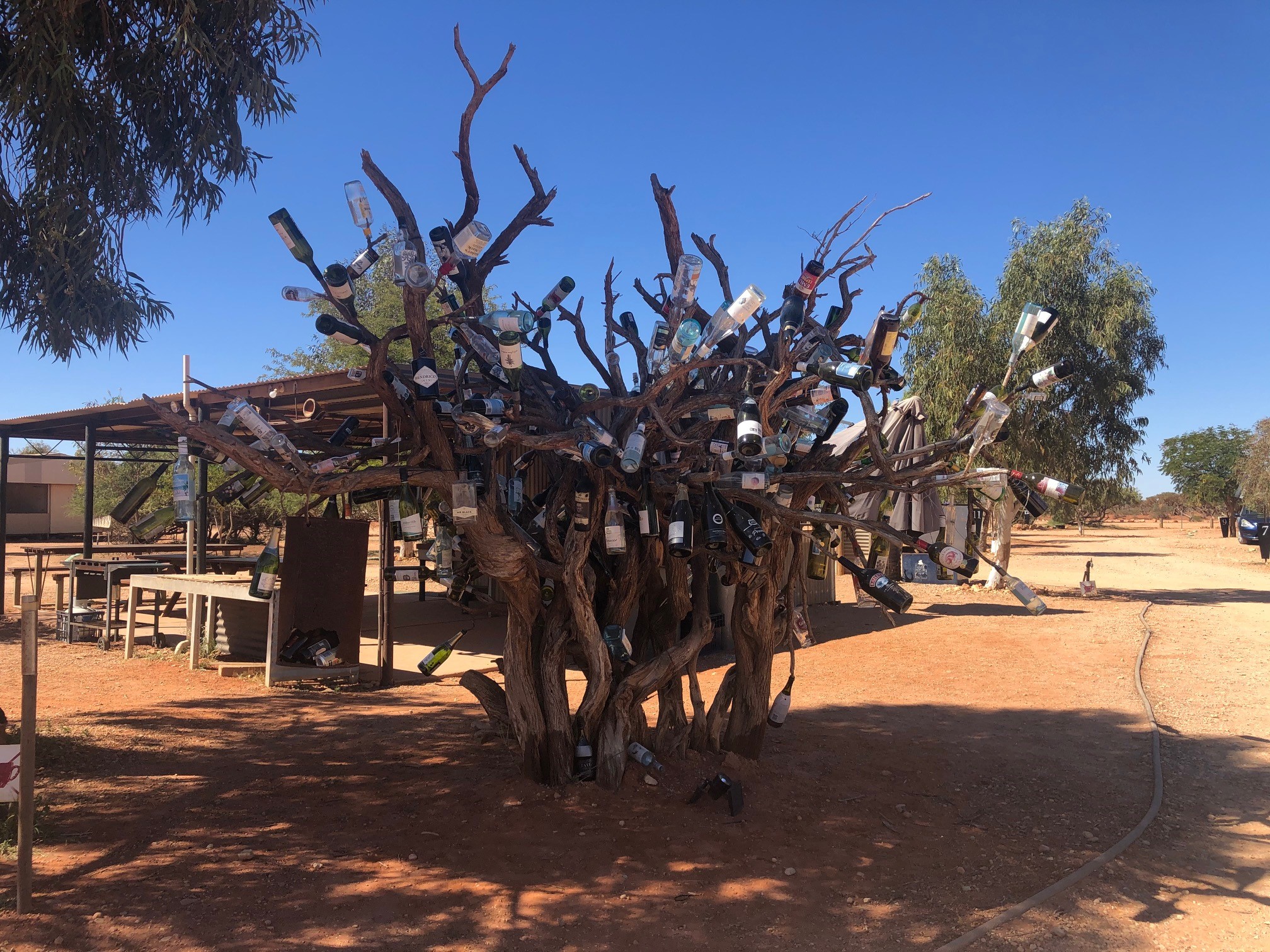 EXMOUTH ESCAPE (Fly/Stay) - Kings Tours & Travel